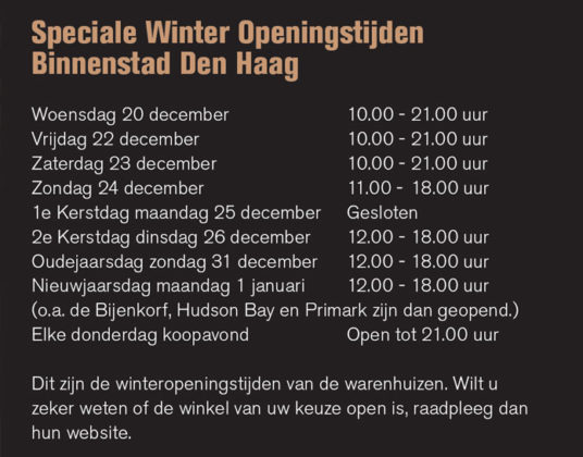 Winter in Den Haag - LEVEN! Magazine